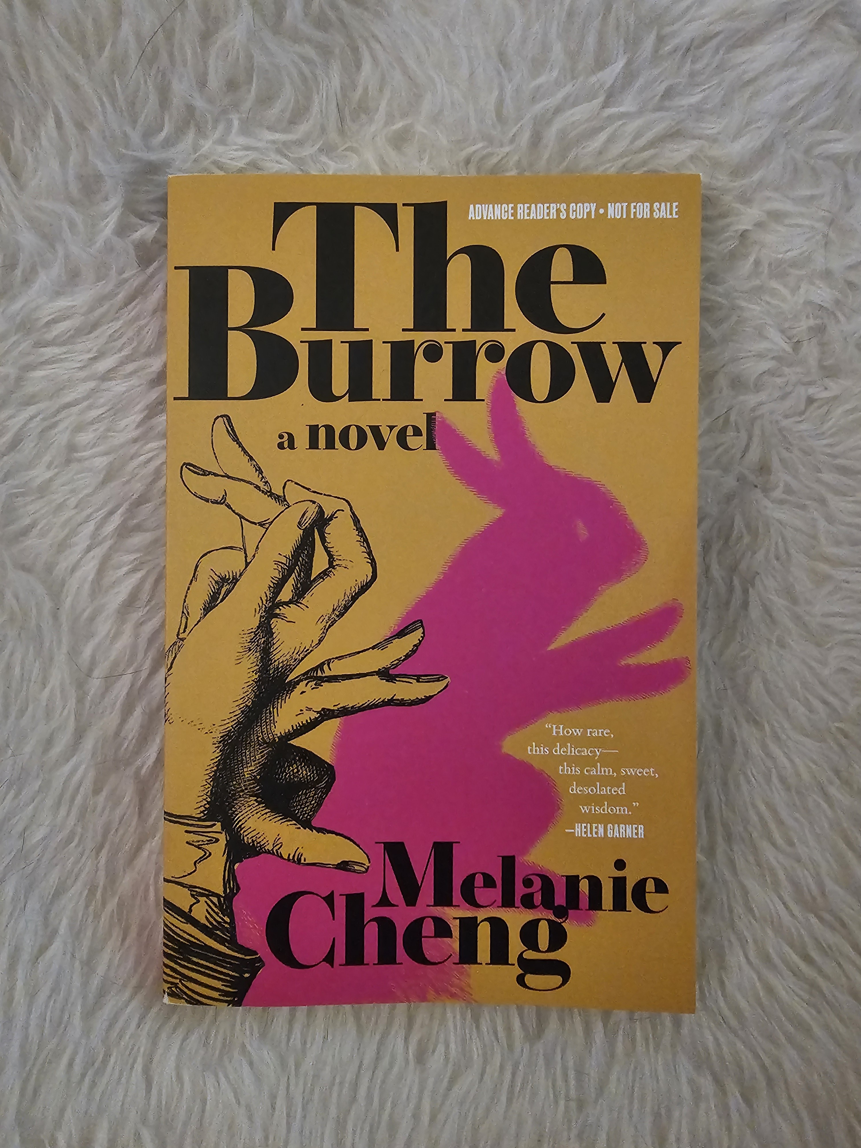 Book review: The Burrow by Melanie Cheng (Tin House) | Suzy Eynon